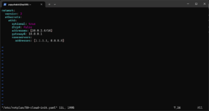 Custom DNS servers for Raspberry Pi (and other Debian/Ubuntu Linux ...